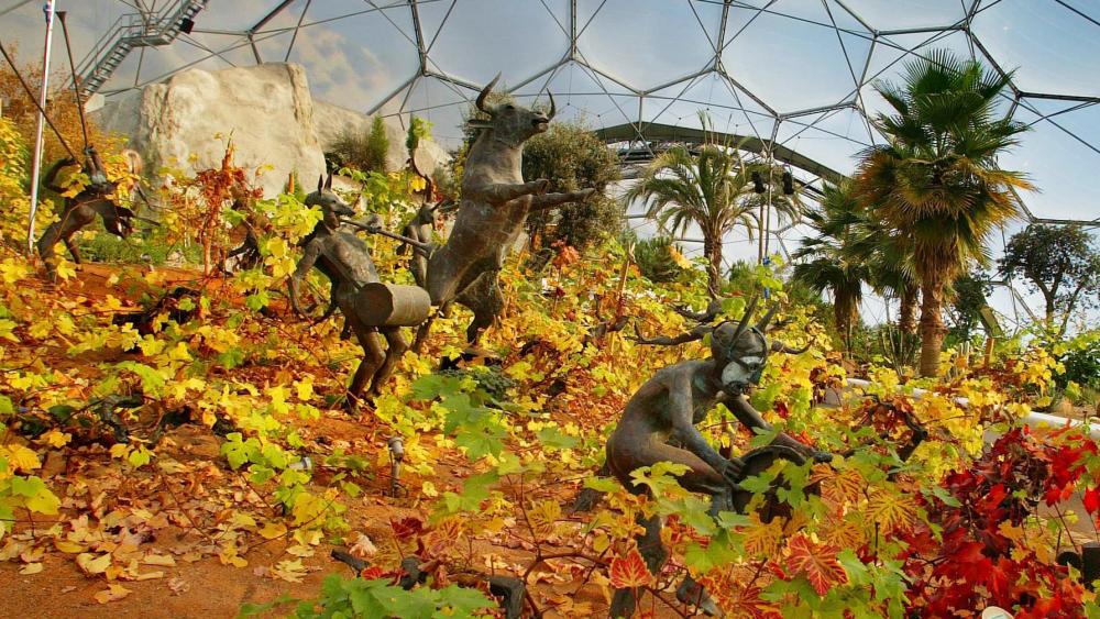 Eden Project | Eden Sessions