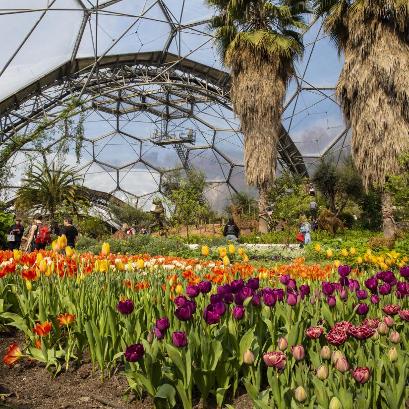 Eden Project | Eden Sessions