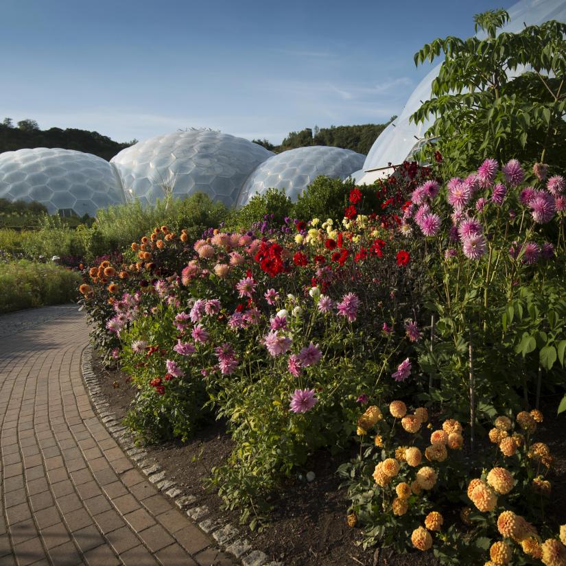 Eden Project | Eden Sessions