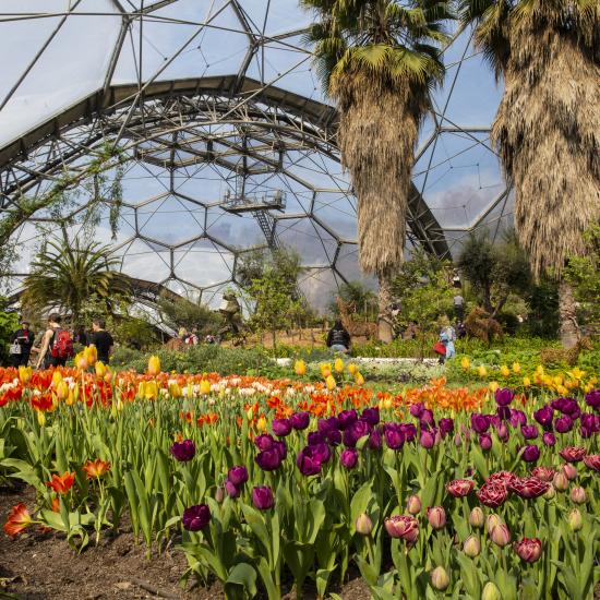 Eden Project | Eden Sessions