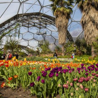 Eden Project | Eden Sessions